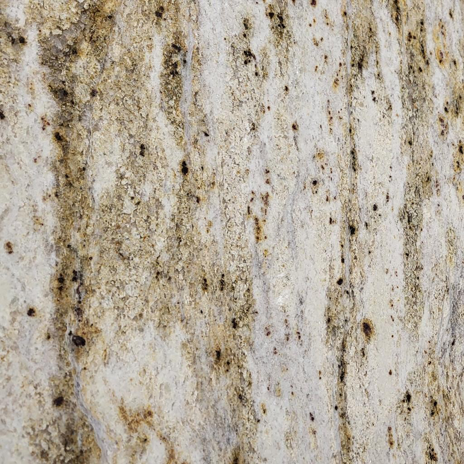 Colonial Cream - Stone Studio
